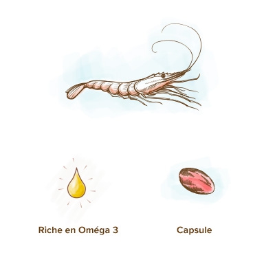 Le Krill | Objectif Croq Chef