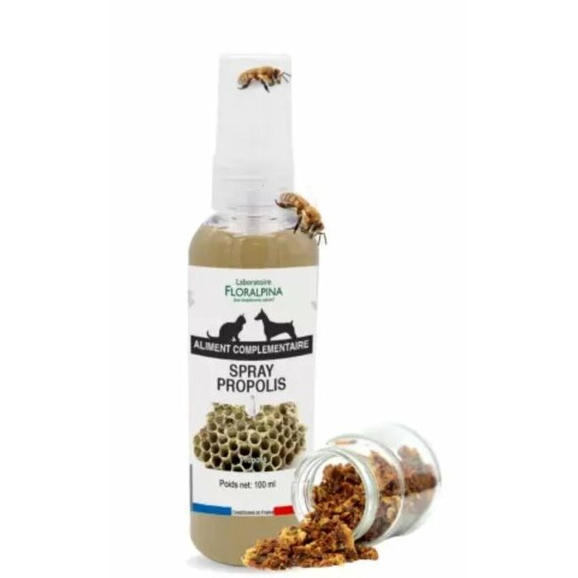 Propolis | Objectif Croq Chef